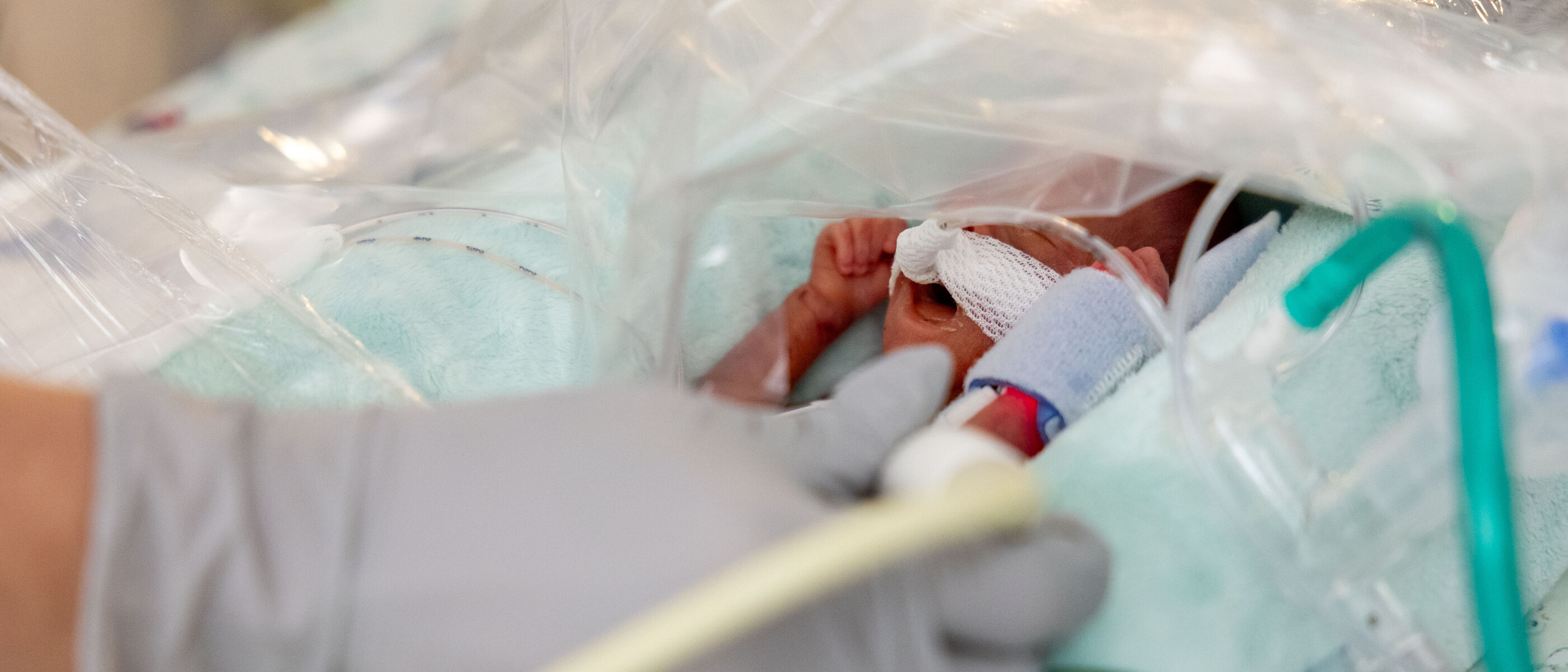 Neonatal Hemodynamics Fellowship | Stead Family Department of ...